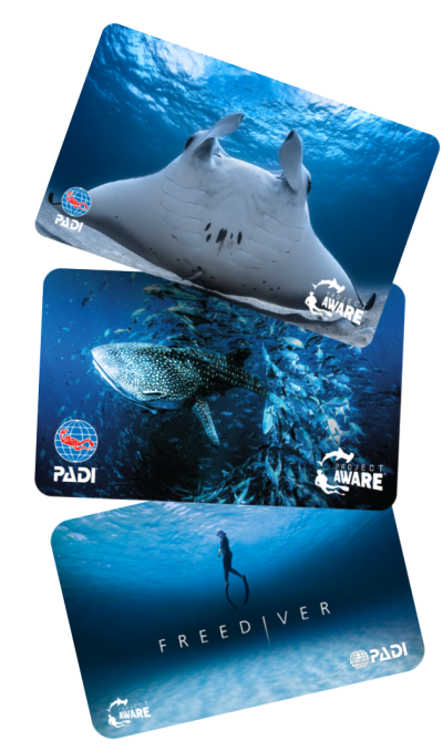 Project AWARE Coral Reef Conservation - ONLINE with DWF – Dive With Frank